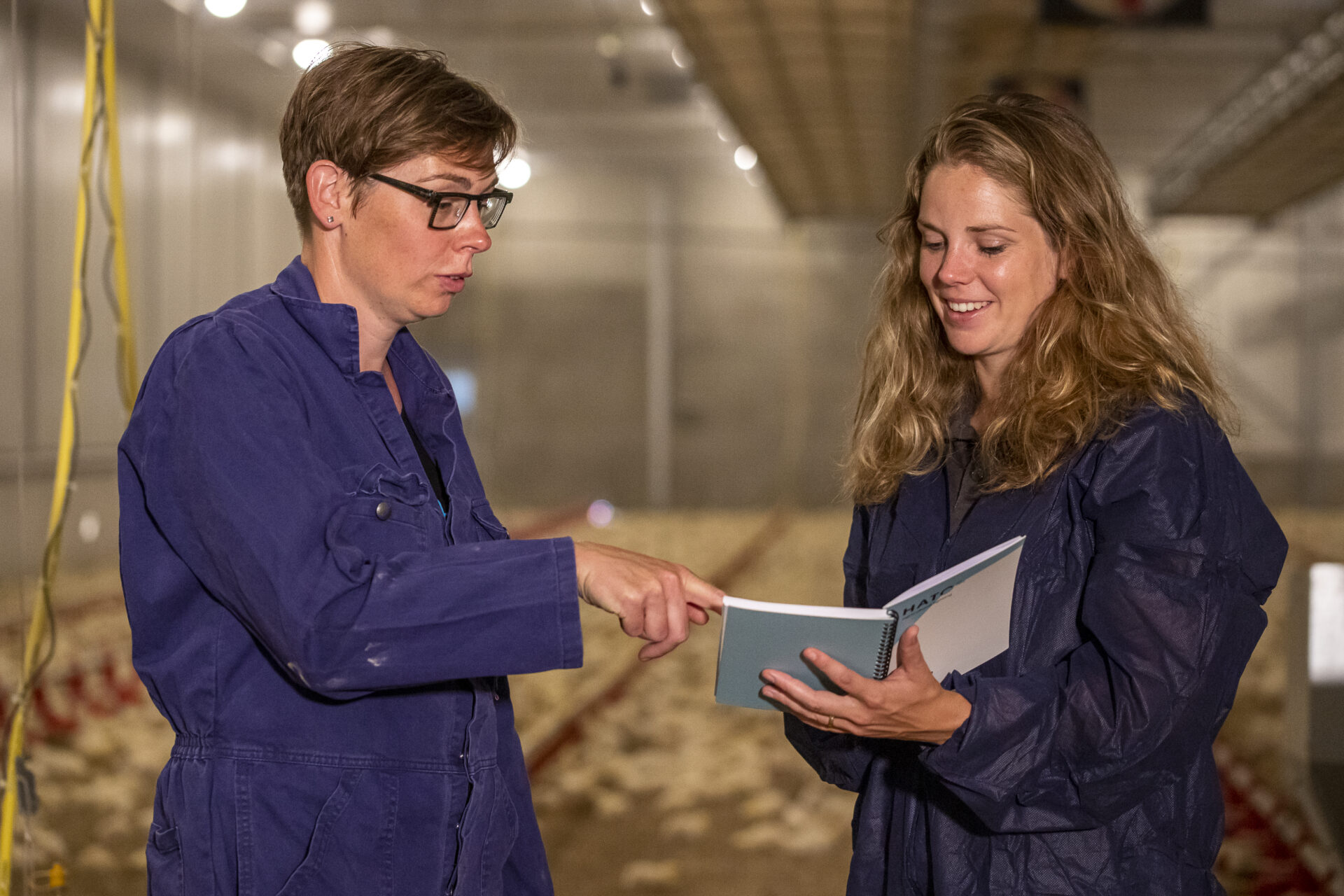 Hato Agricultural Lighting - Dutch Agribusiness Worldwide